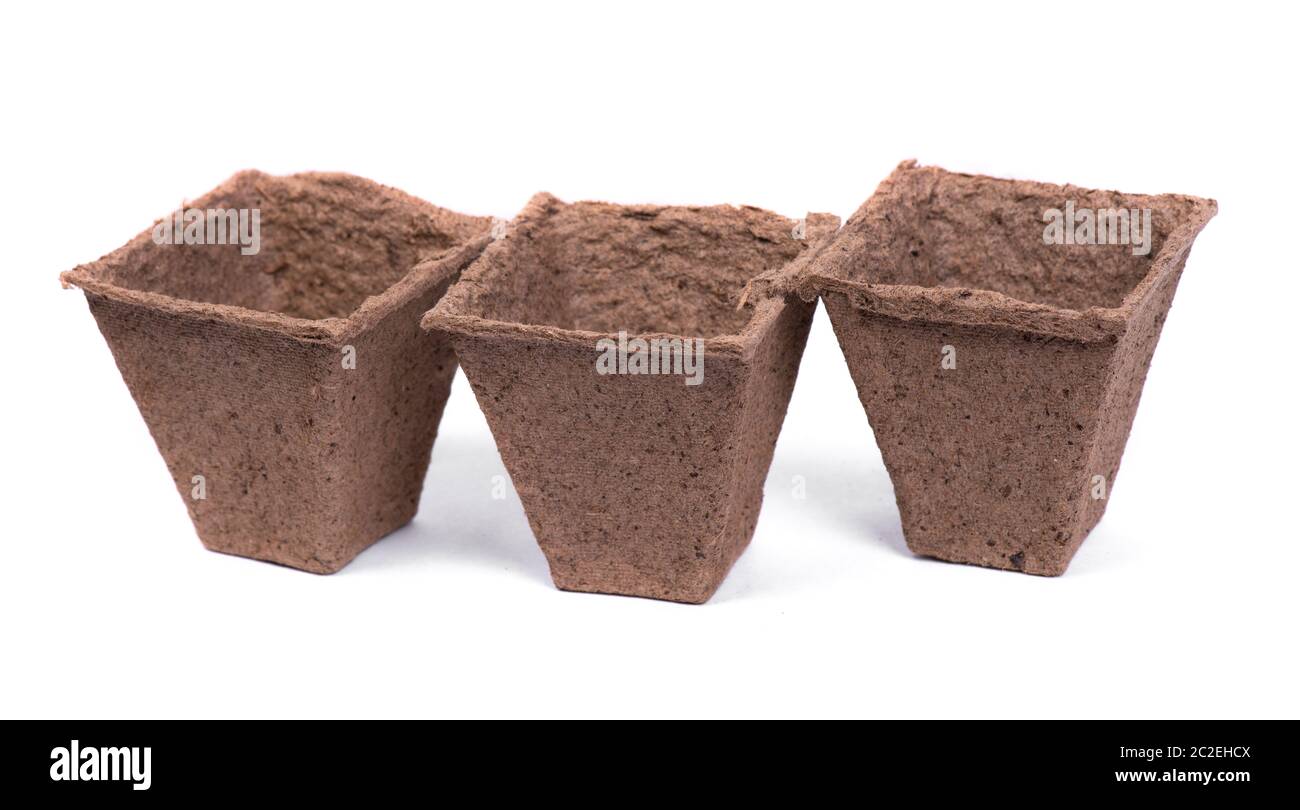 Three empty peat pots isolated on white background Stock Photo - Alamy