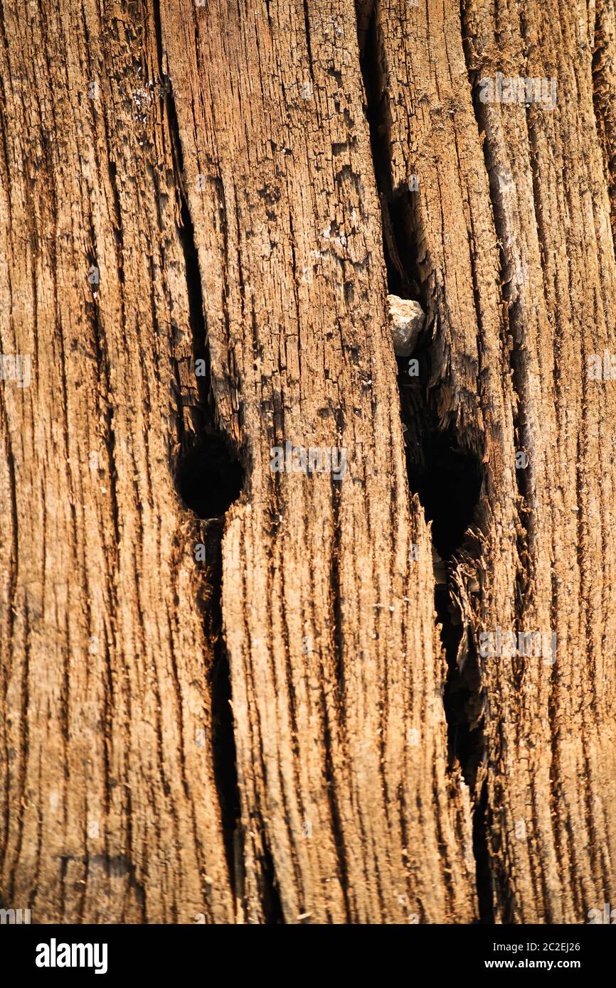 Weathered wooden texture from an old used railway sleeper Stock Photo ...