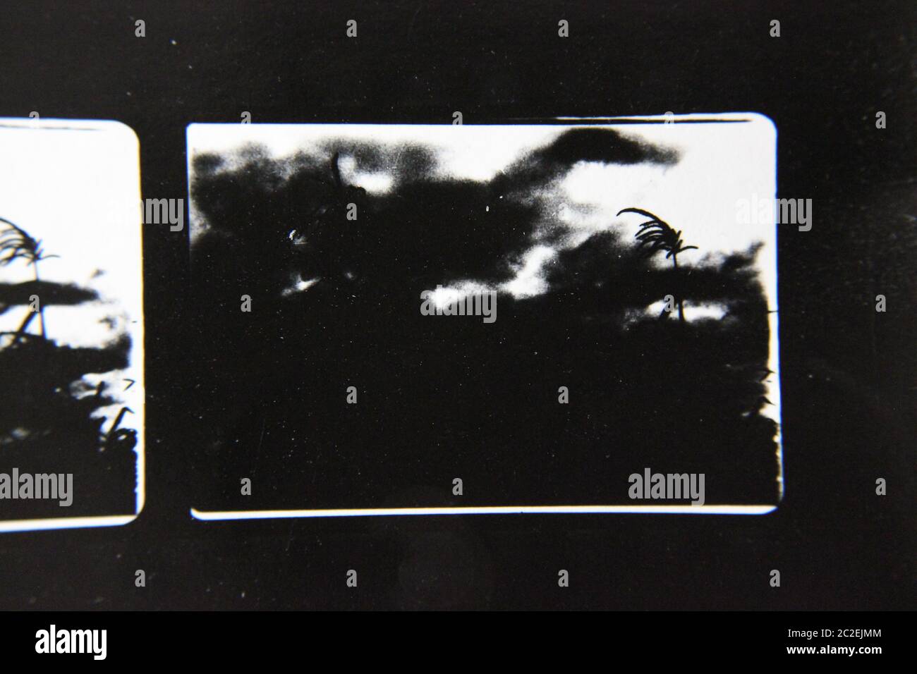 Fine 70s vintage contact print black and white extreme photography of ...