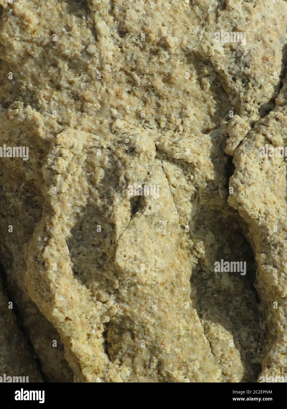 Limestone cliff texture hi-res stock photography and images - Alamy