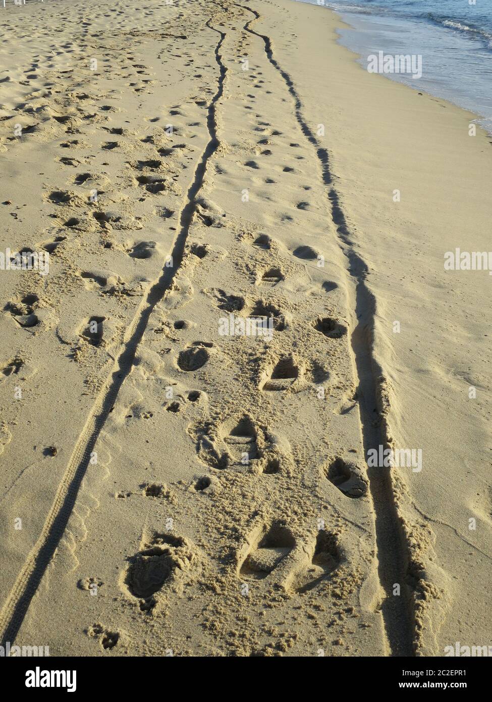footprints and marks on the sand Stock Photo - Alamy
