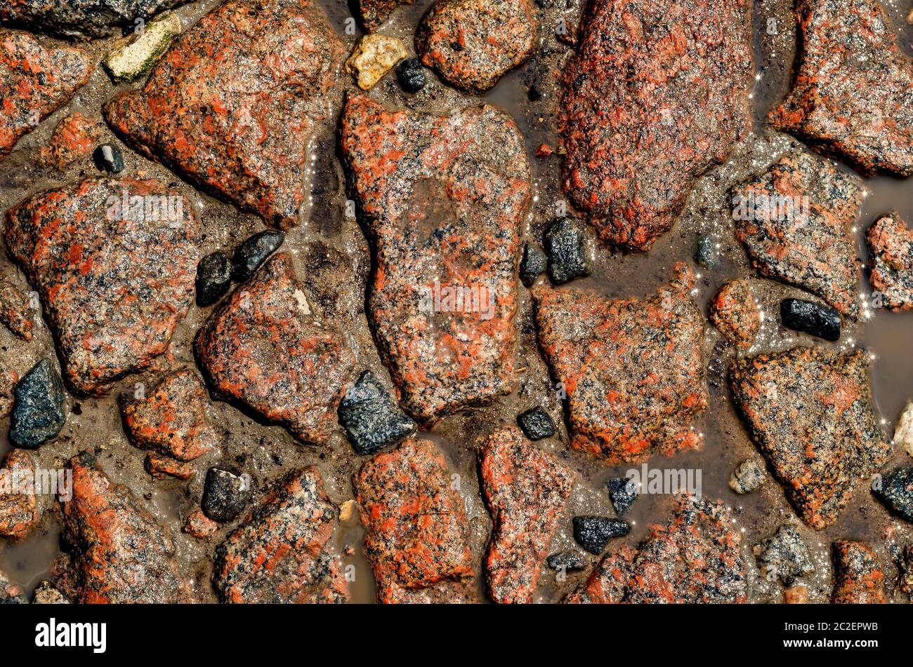 Cobblestone city street after summer rain. Cobblestone granite texture ...