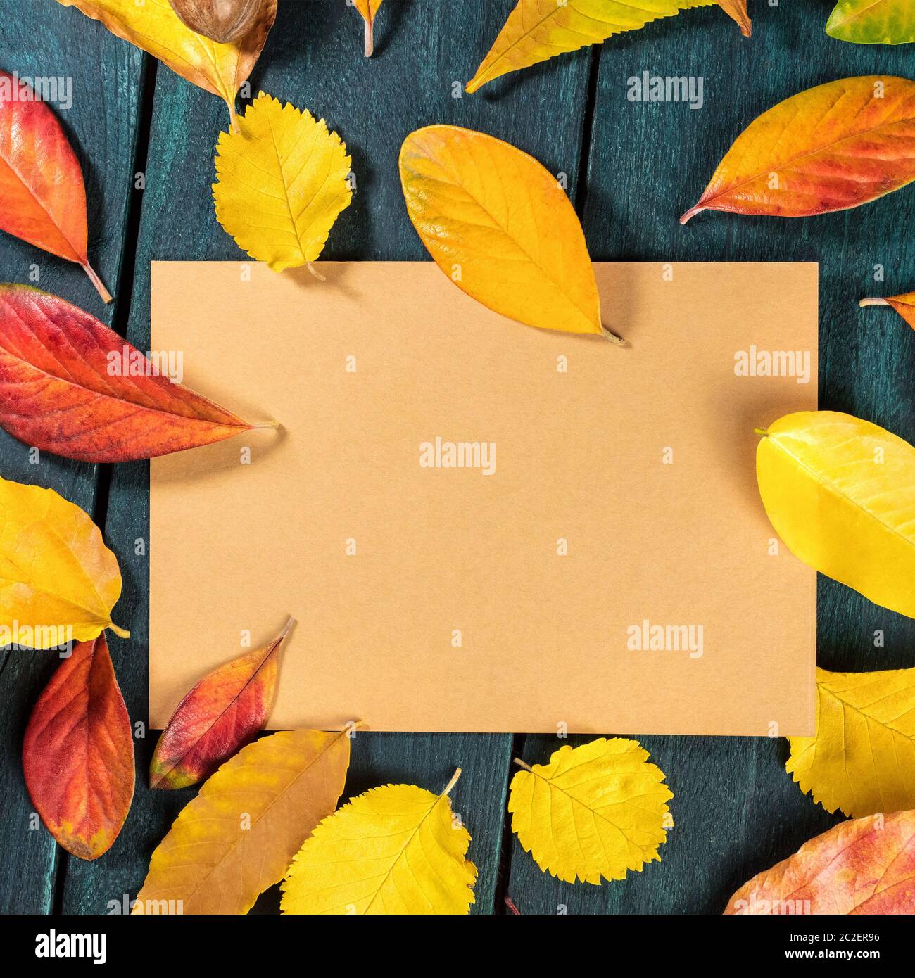 Autumn background with vibrant fall leaves with a card, a design ...