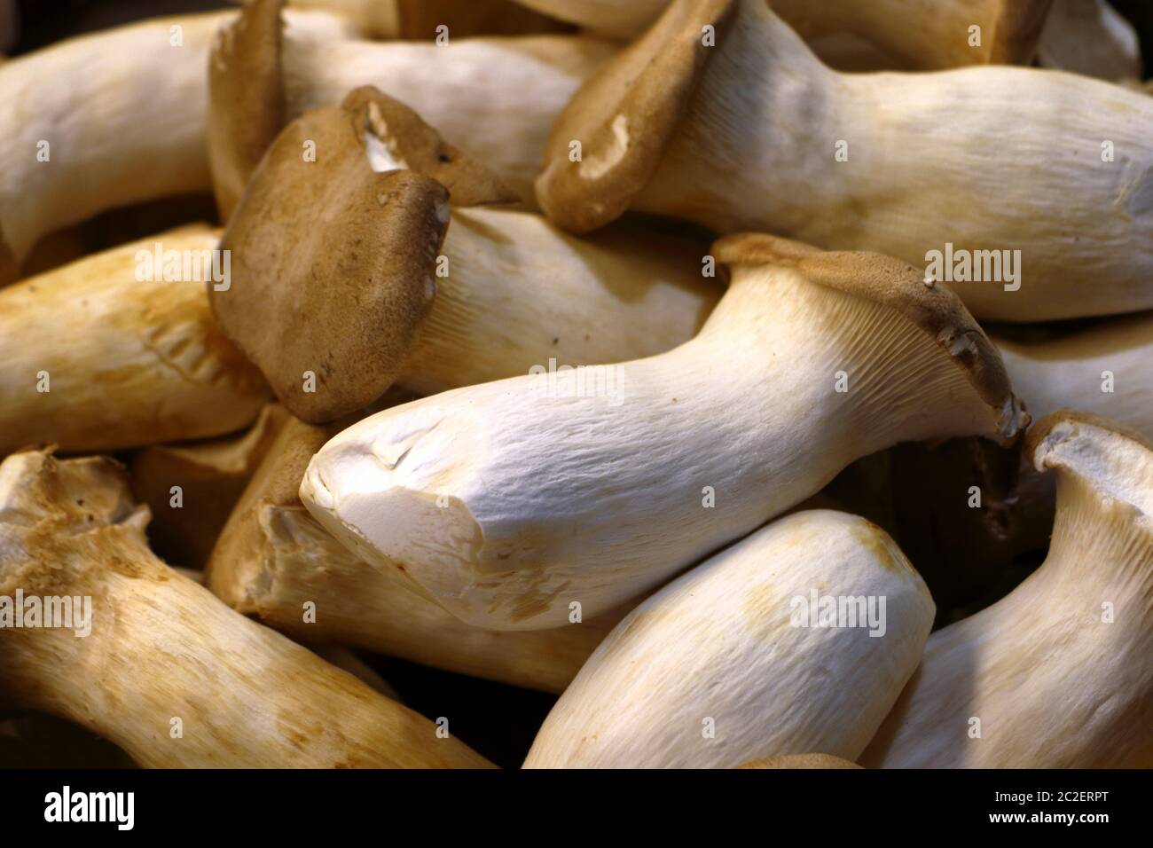 Veggy market hi-res stock photography and images - Alamy