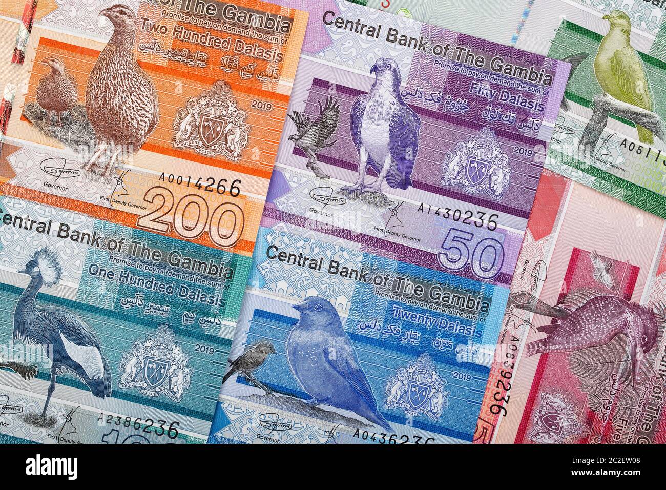 Gambian Dalasi a background Stock Photo - Alamy