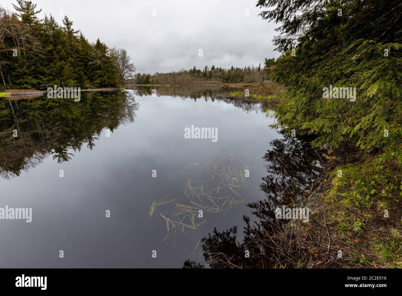 Kejimkujik national park hi-res stock photography and images - Alamy