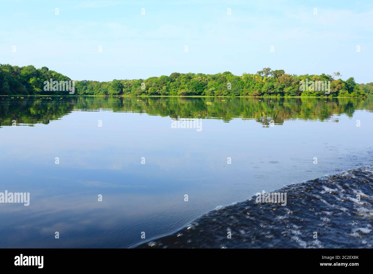 Panorama from Amazon rainforest, Brazilian wetland region. Navigable ...
