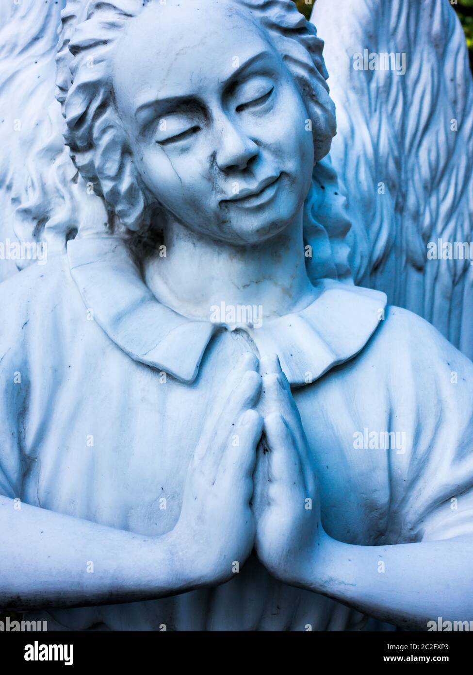 an angel with praying hands in a cemetery. symbol for guardian angel or ...