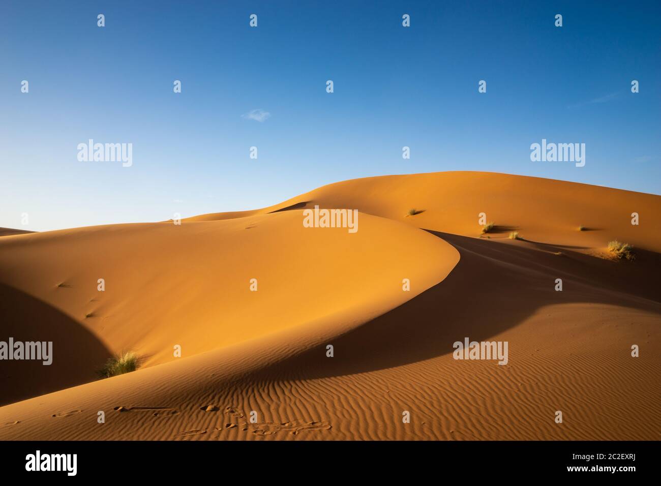 Sahara Desert Morocco Stock Photo - Alamy
