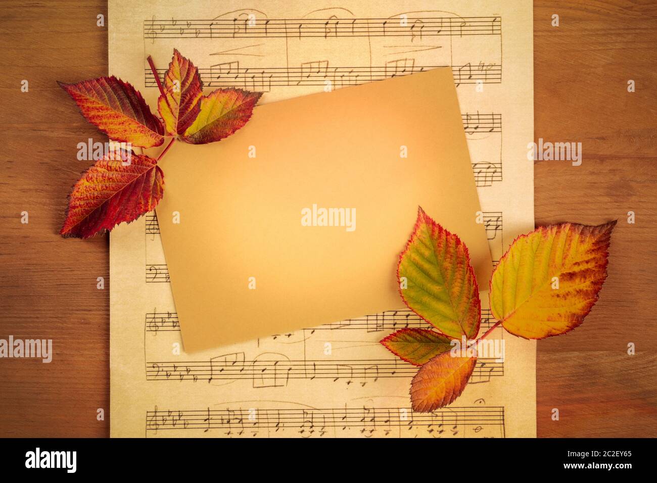 Autumn background with vibrant fall leaves with a card and sheet music ...