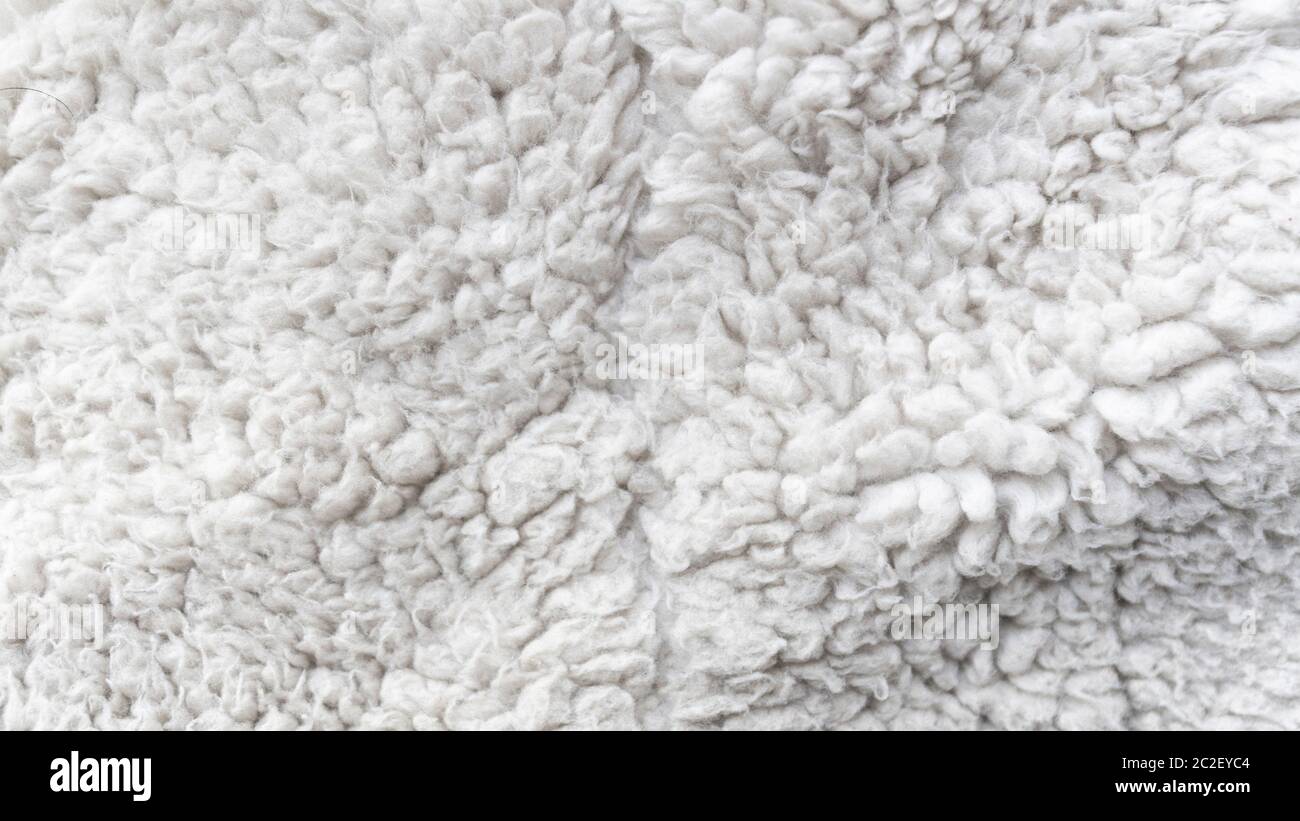 sheep wool plaid material sheep skin Stock Photo - Alamy