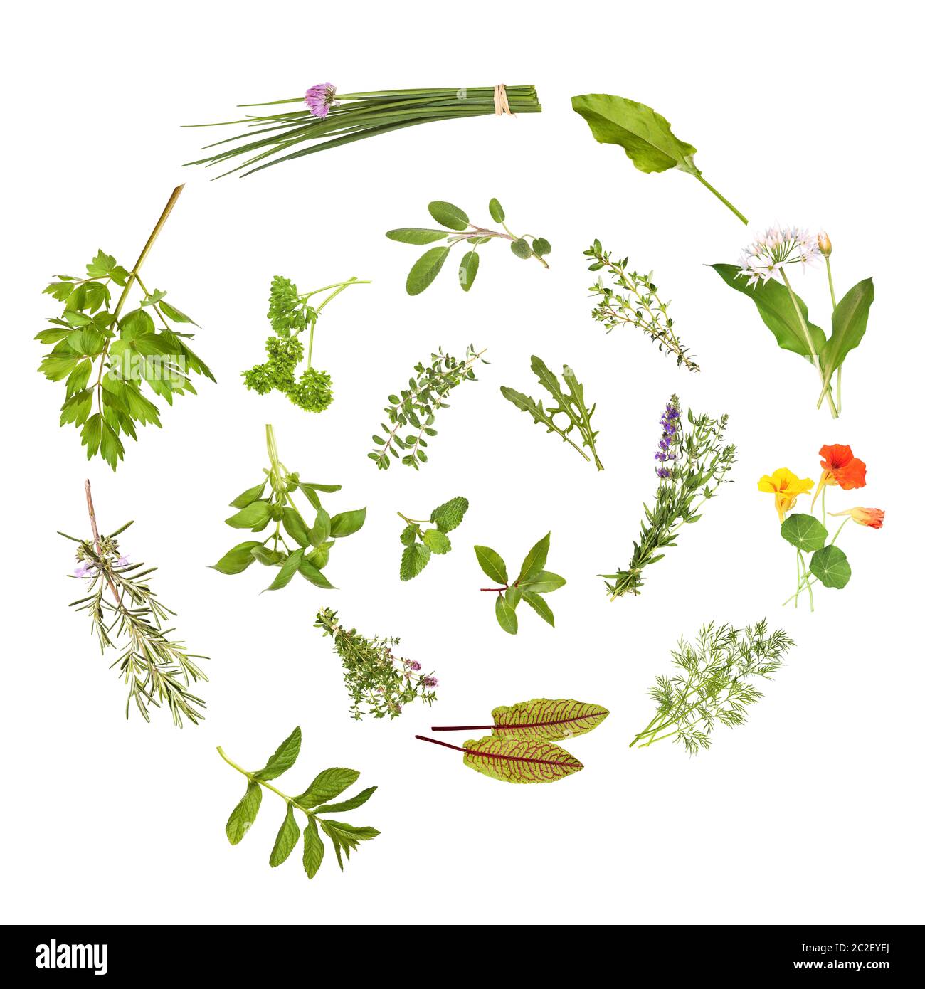 Herbs spiral, isolated Stock Photo - Alamy