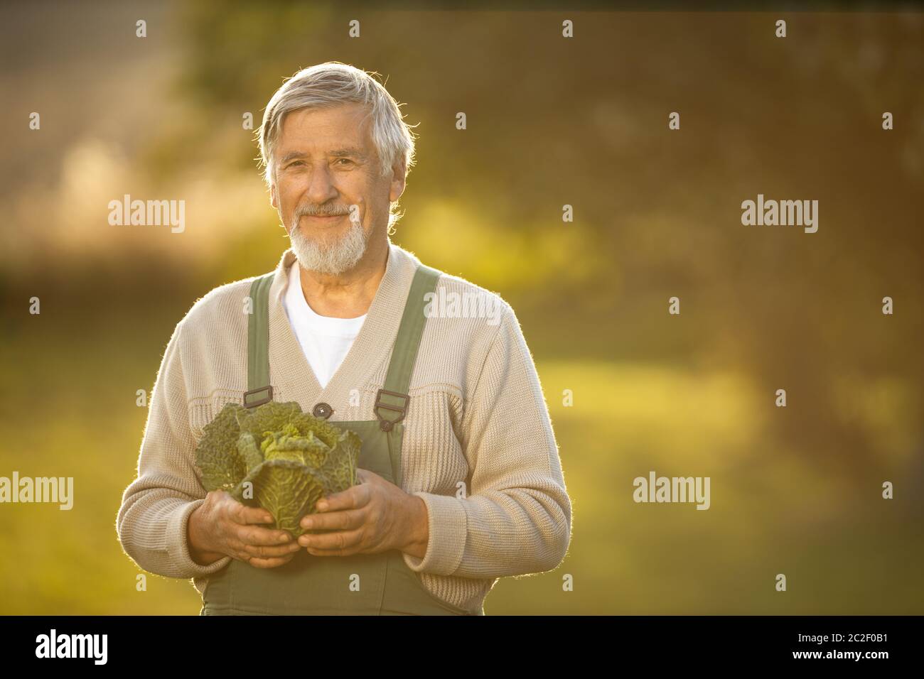 Senior gardenr gardening in his permaculture garden - holding a ...