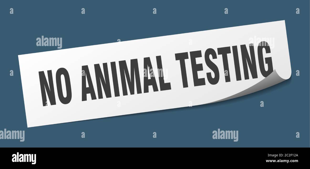 no animal testing sticker. no animal testing square isolated sign. no ...