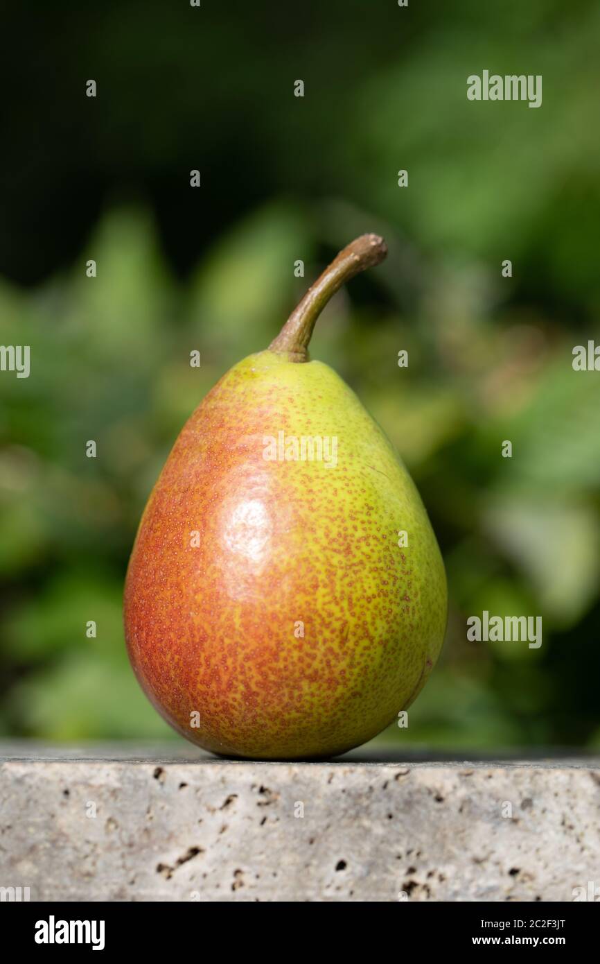 Fruit - Pear Stock Photo - Alamy