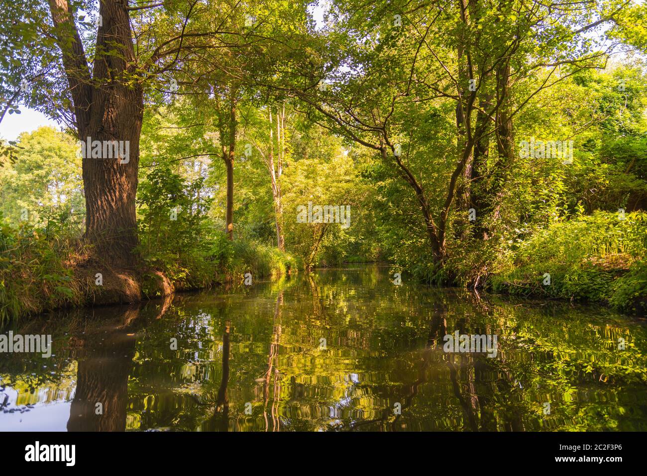 Spree river canal water hi-res stock photography and images - Alamy