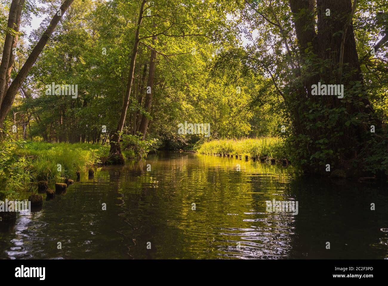 Spree river canal water hi-res stock photography and images - Alamy