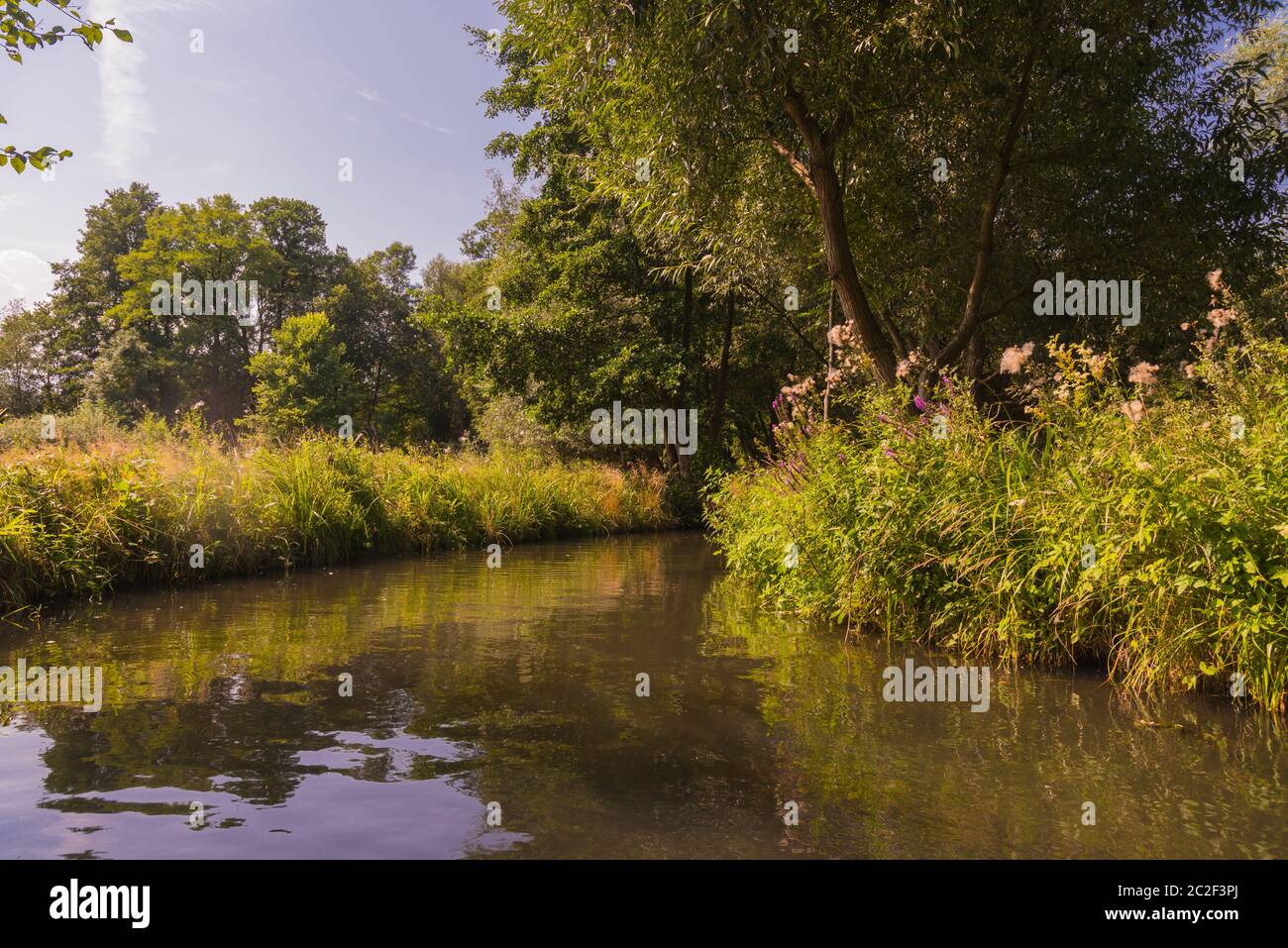 Spree Forest Canal High Resolution Stock Photography and Images - Alamy