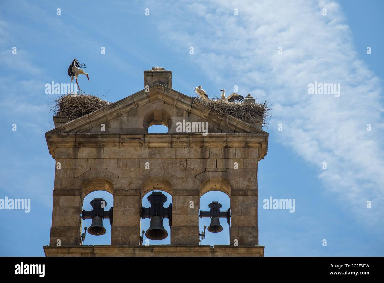 Sta rche hi-res stock photography and images - Alamy
