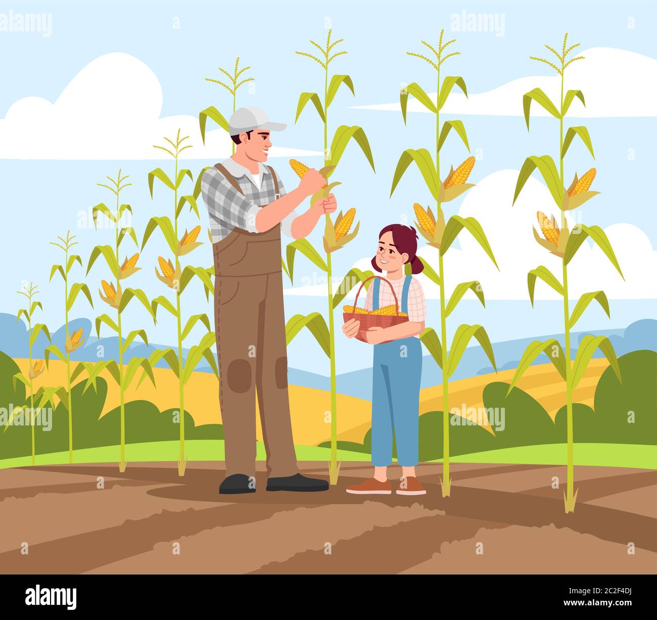 Collecting corn harvest semi flat vector illustration. Local production ...