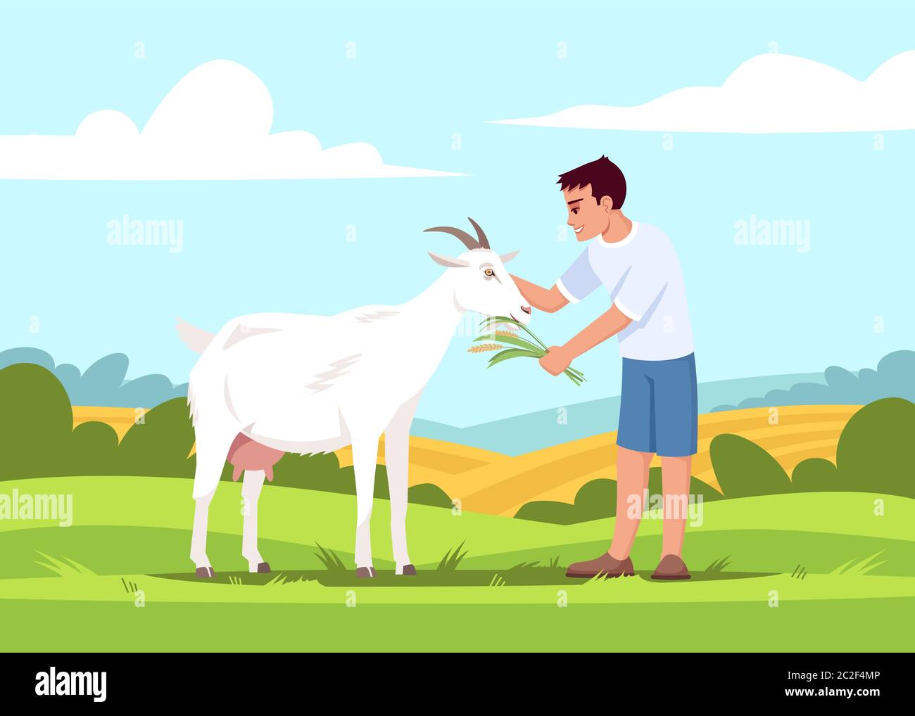 Boy feed goat semi flat vector illustration. Kid give wheat to domestic ...