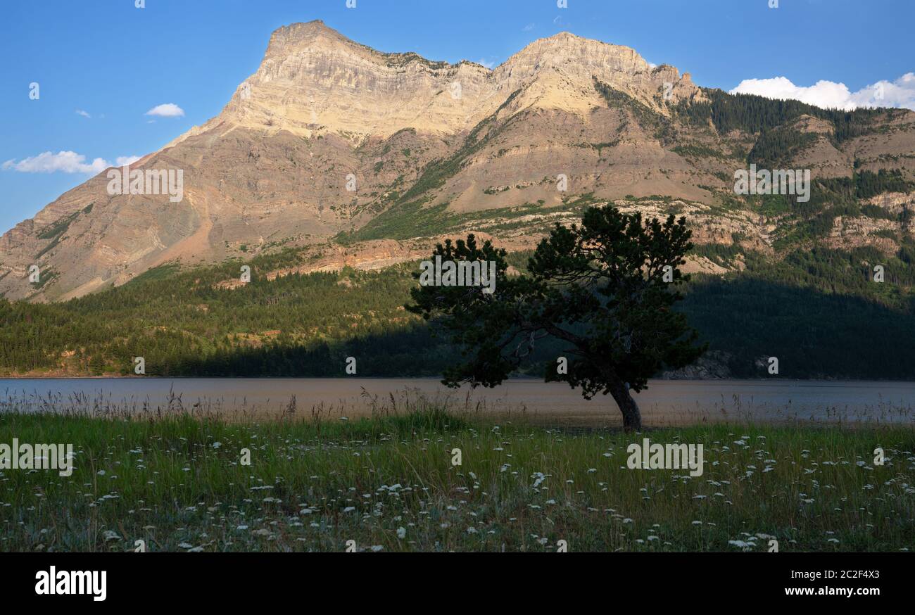Panoramic image of the Waterton Lake at sunset, Waterton Lakes National ...