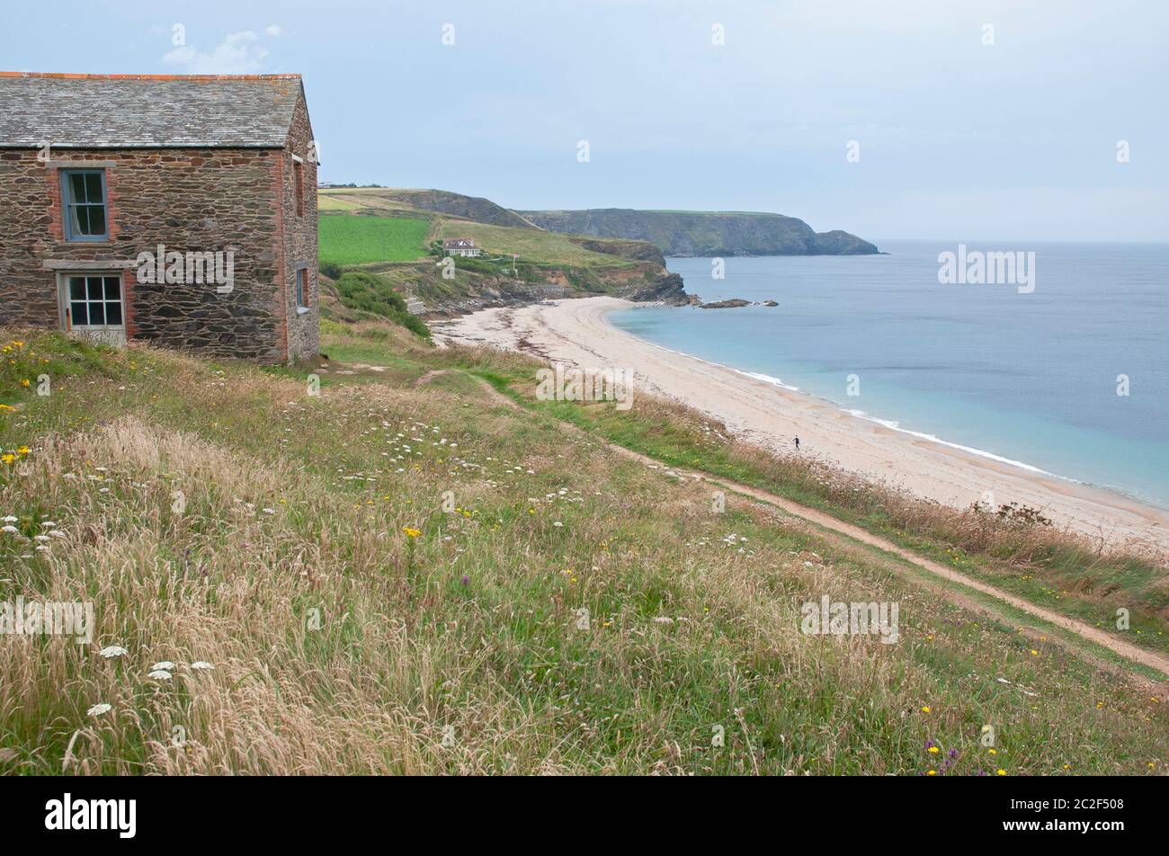 Lizard cornwall coast path flowers hi-res stock photography and images ...