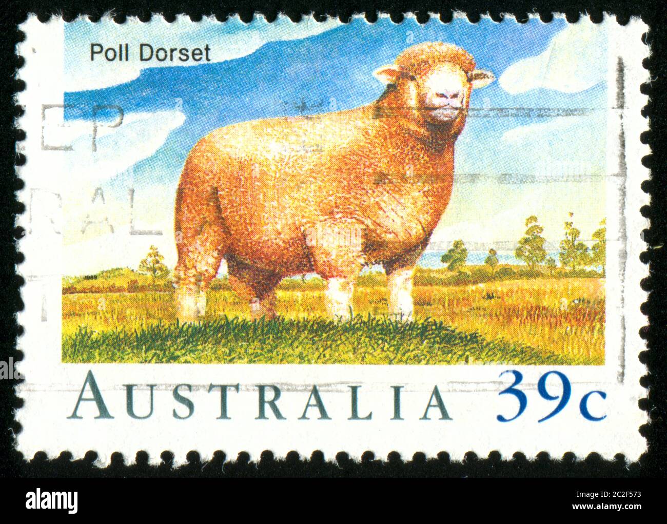 AUSTRALIA - CIRCA 1989: stamp printed by Australia, shows Sheep, circa ...