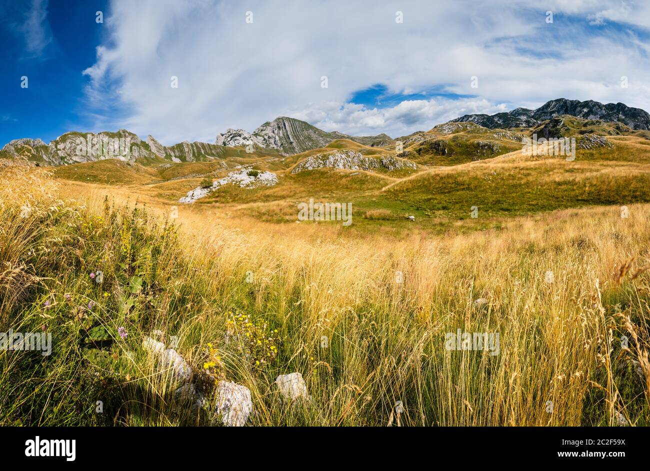Summer mountain Durmitor National Park, Montenegro. Durmitor panoramic ...
