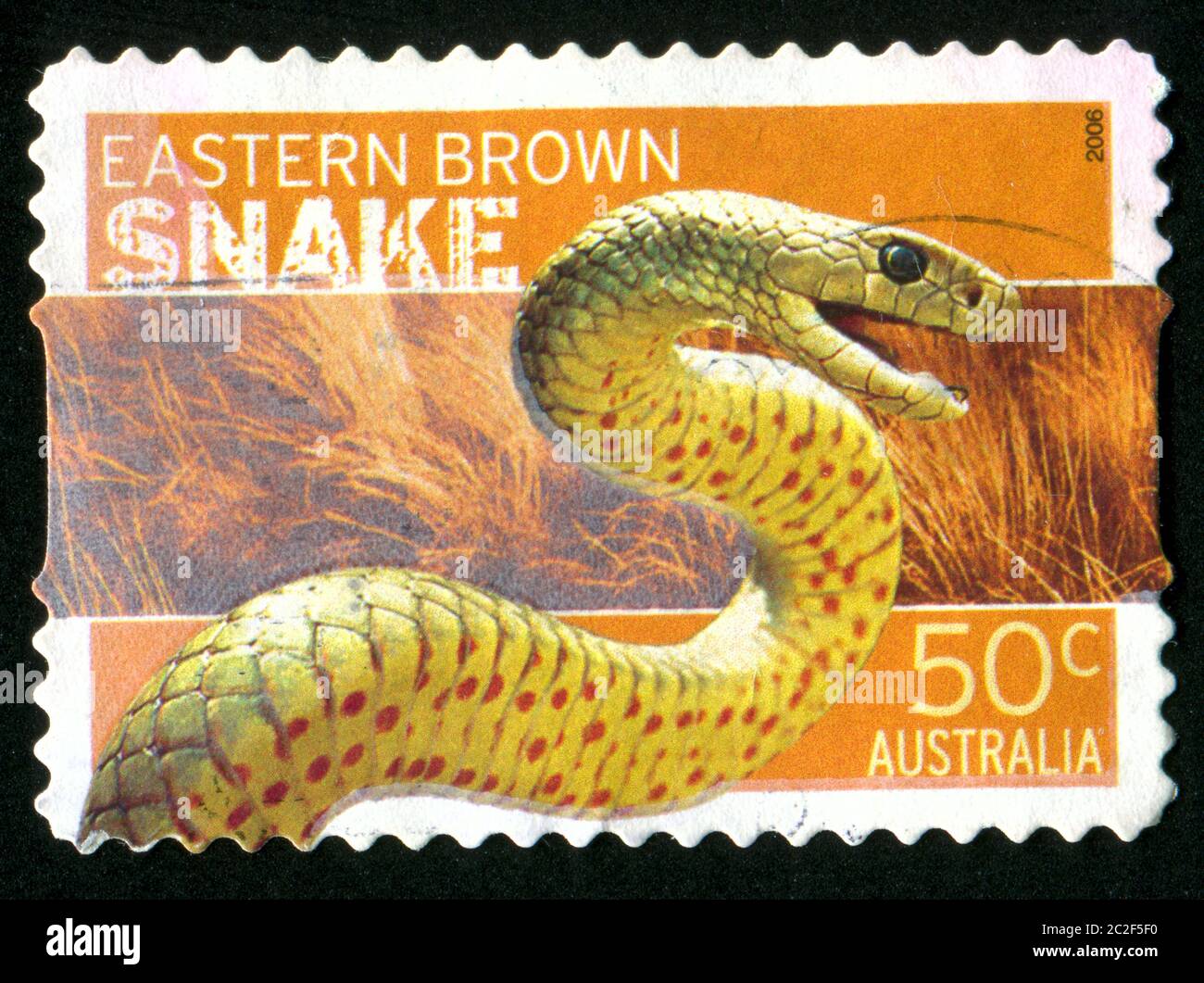 AUSTRALIA - CIRCA 2006: stamp printed by Australia, shows Eastern brown ...