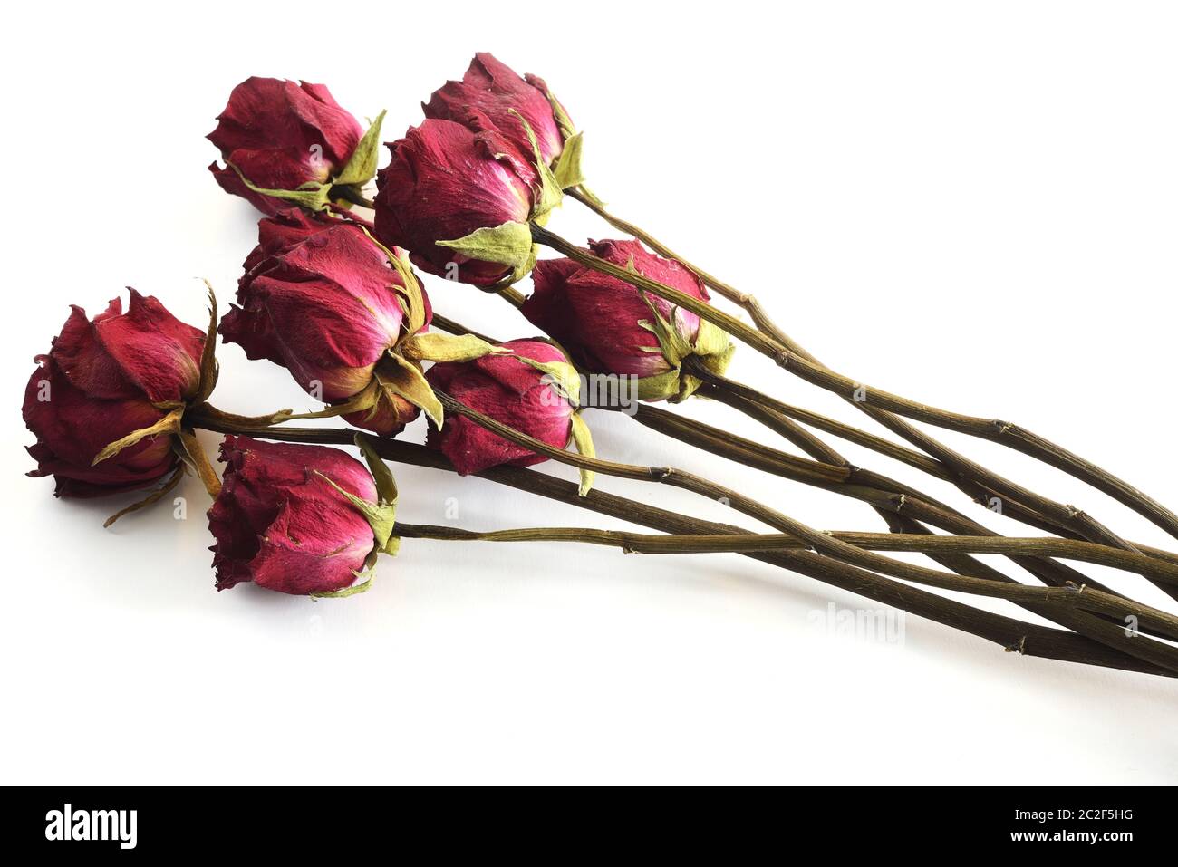 bouquet of withered roses against a white background Stock Photo - Alamy