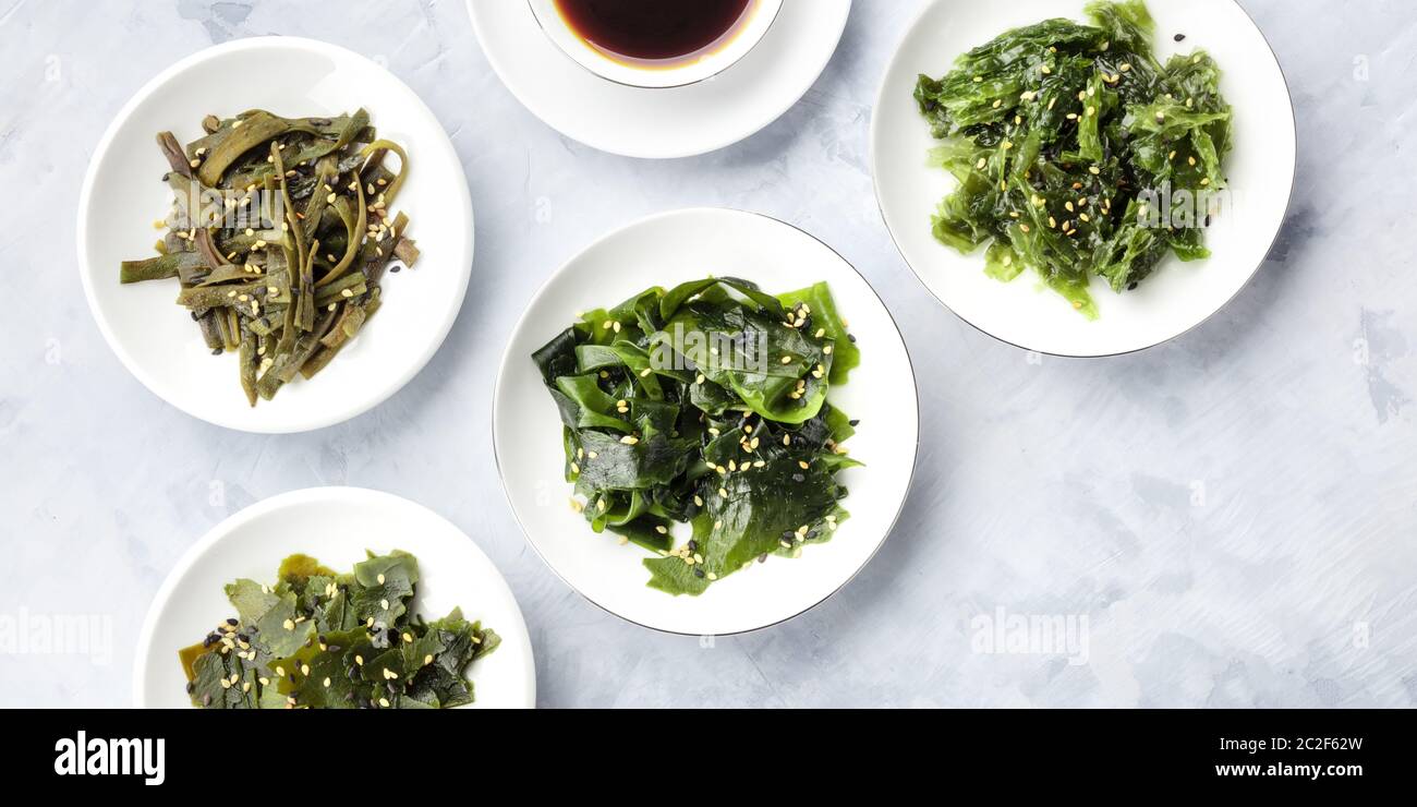 Various seaweed, sea vegetables, panoramic overhead shot with copy ...