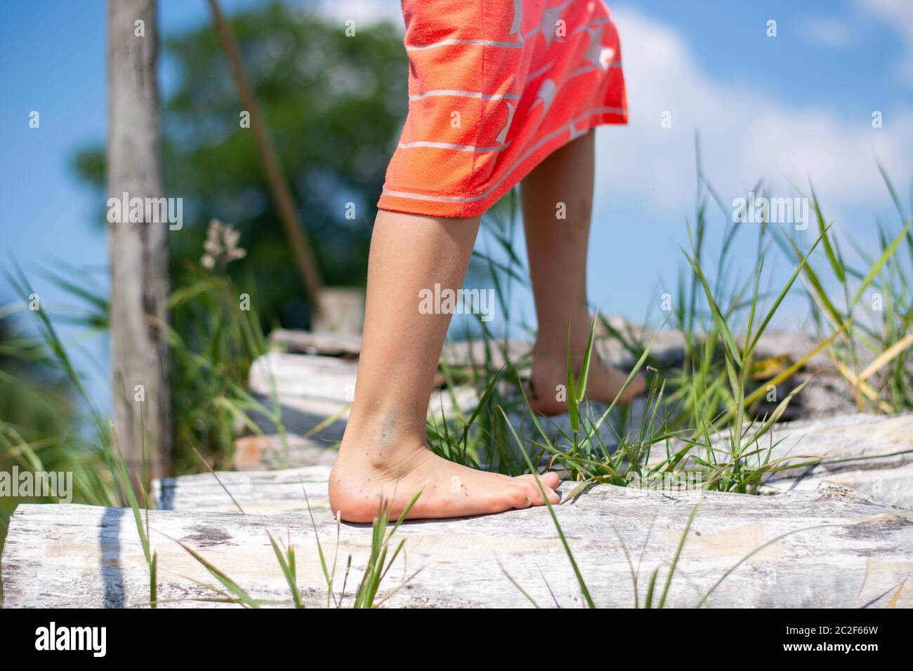 Child girl feet walking barefoot, climbing on tree trunk. Healthy happy ...