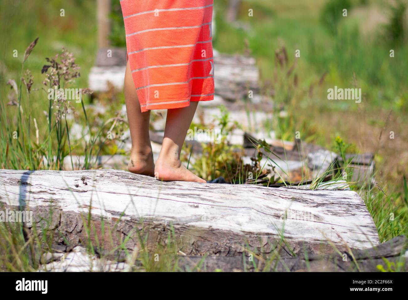 Child girl feet walking barefoot, standing on tree trunk. Barefoot ...