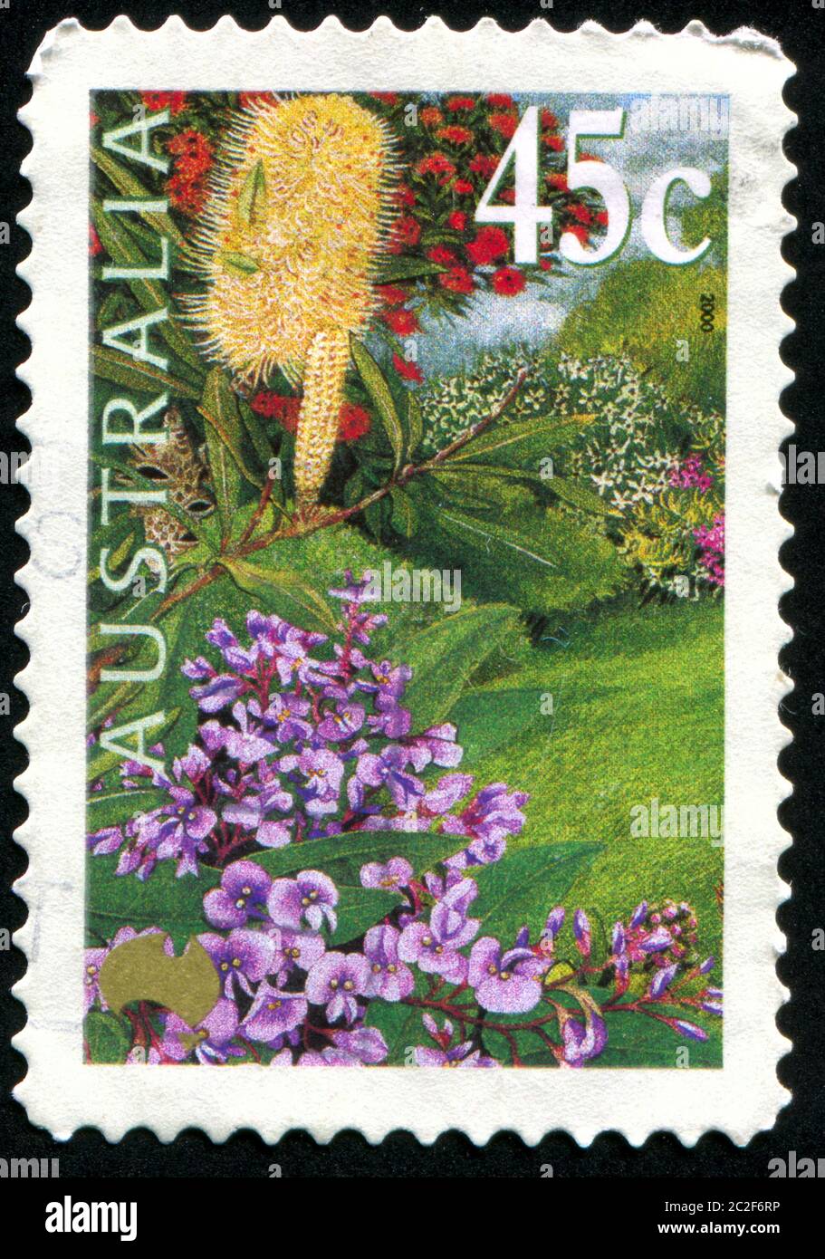 AUSTRALIA - CIRCA 2000: stamp printed by Australia, shows flowers in ...