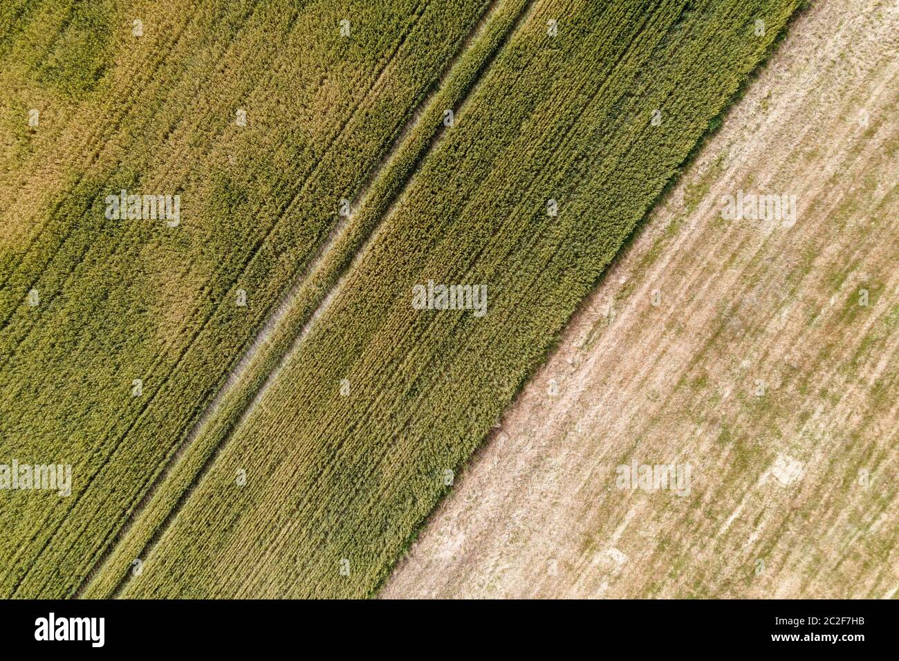 Aerial view countryside corn field hi-res stock photography and images ...