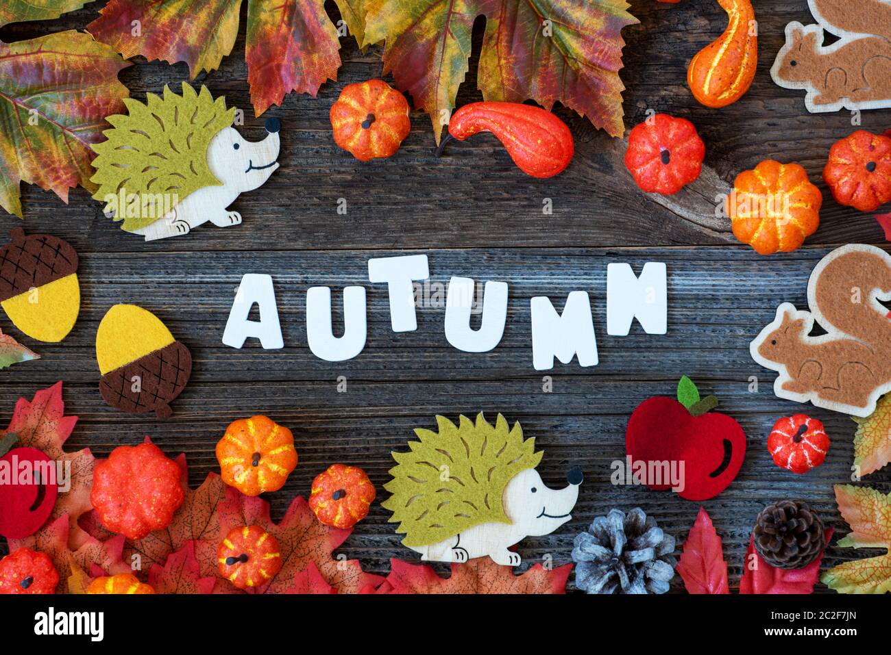 Colorful Autumn Decoration With White Letters Building Word Autumn ...
