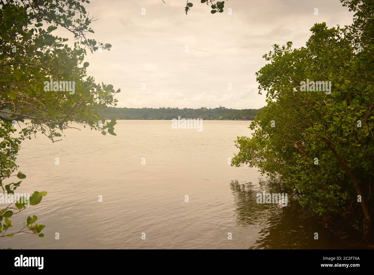 Mangrove jack hi-res stock photography and images - Alamy