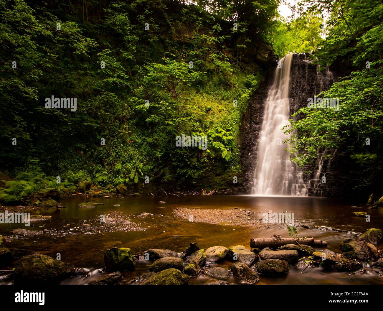Large cascading waterfall tumbling into a peaceful pool. Falling foss ...
