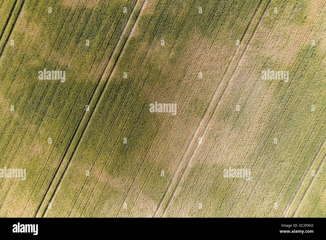 Aerial view countryside corn field hi-res stock photography and images ...