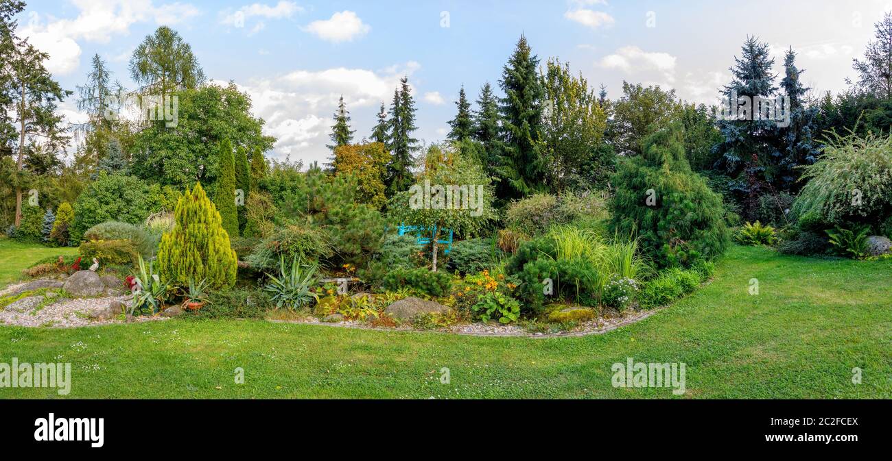 Beautiful fall garden, with evergreen conifer trees. Autumn gardening ...