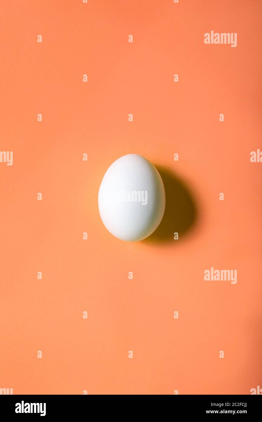 Single white egg isolated on solid color background Stock Photo - Alamy