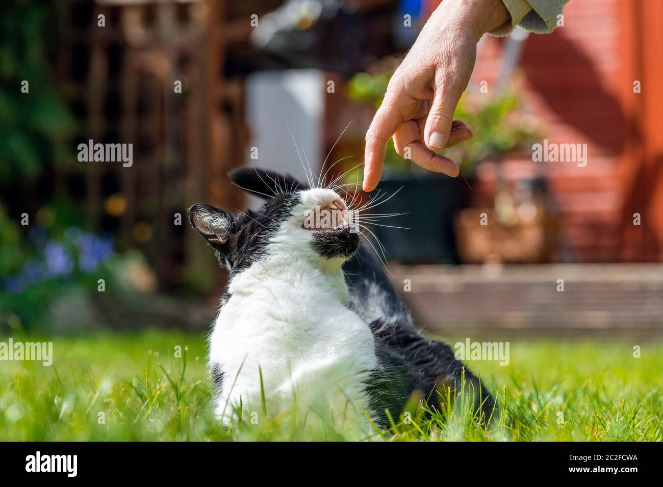 Angry gardener hi-res stock photography and images - Alamy