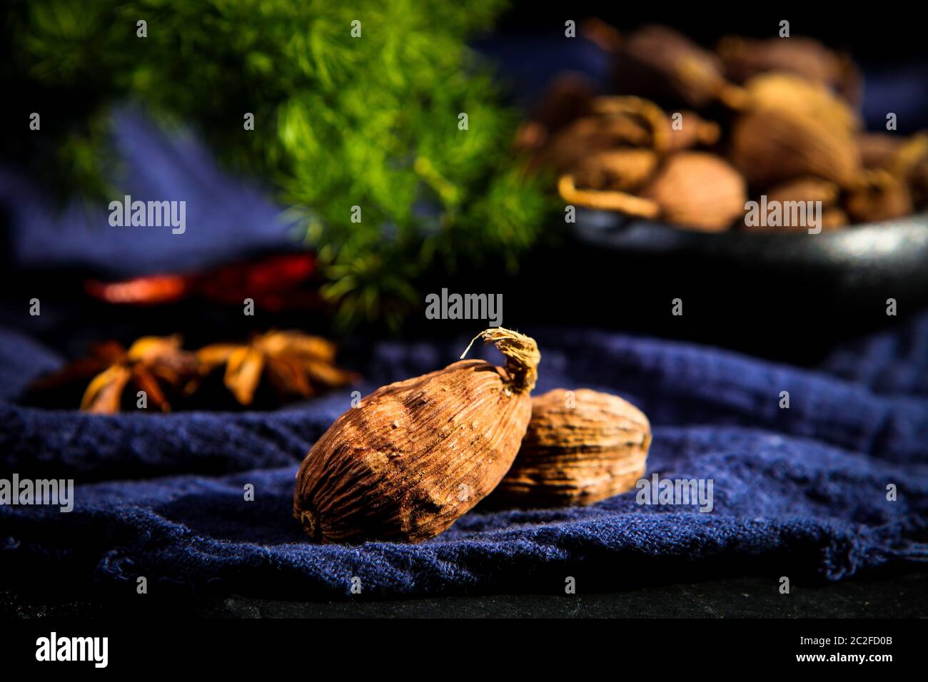 Amomum tsao ko hi-res stock photography and images - Alamy