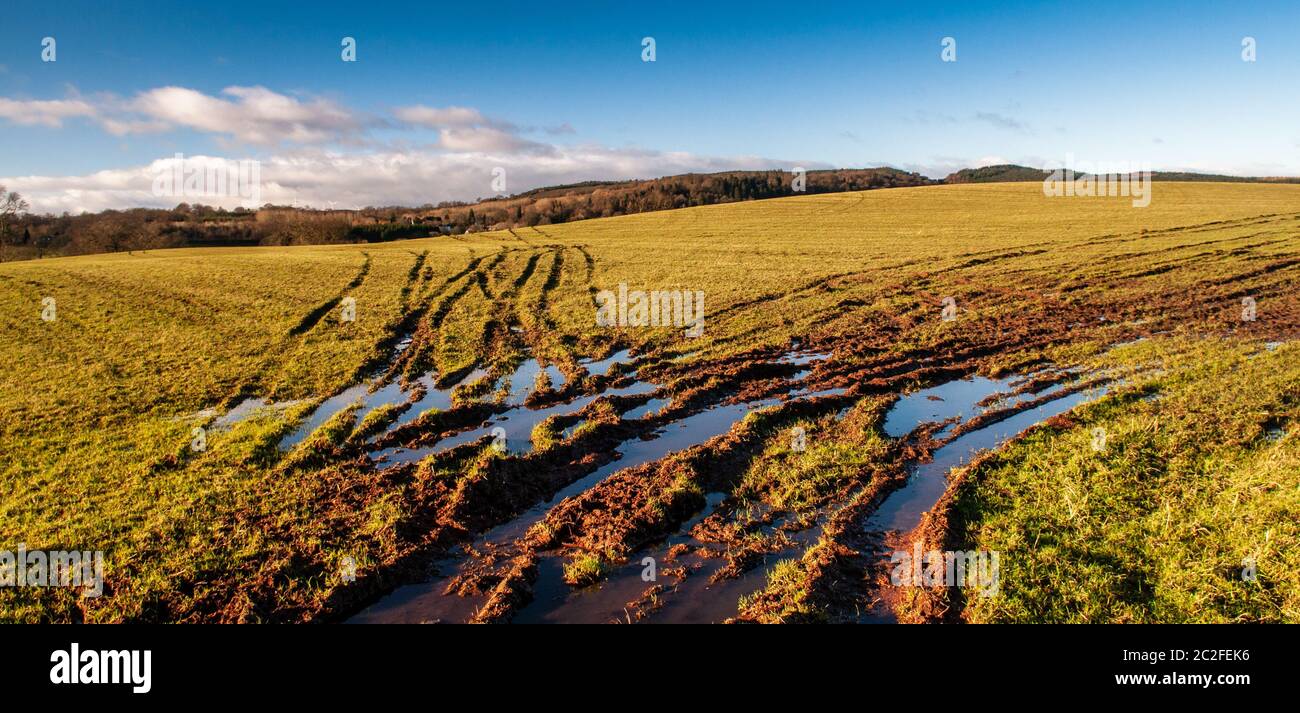 Muddy farmland hi-res stock photography and images - Alamy
