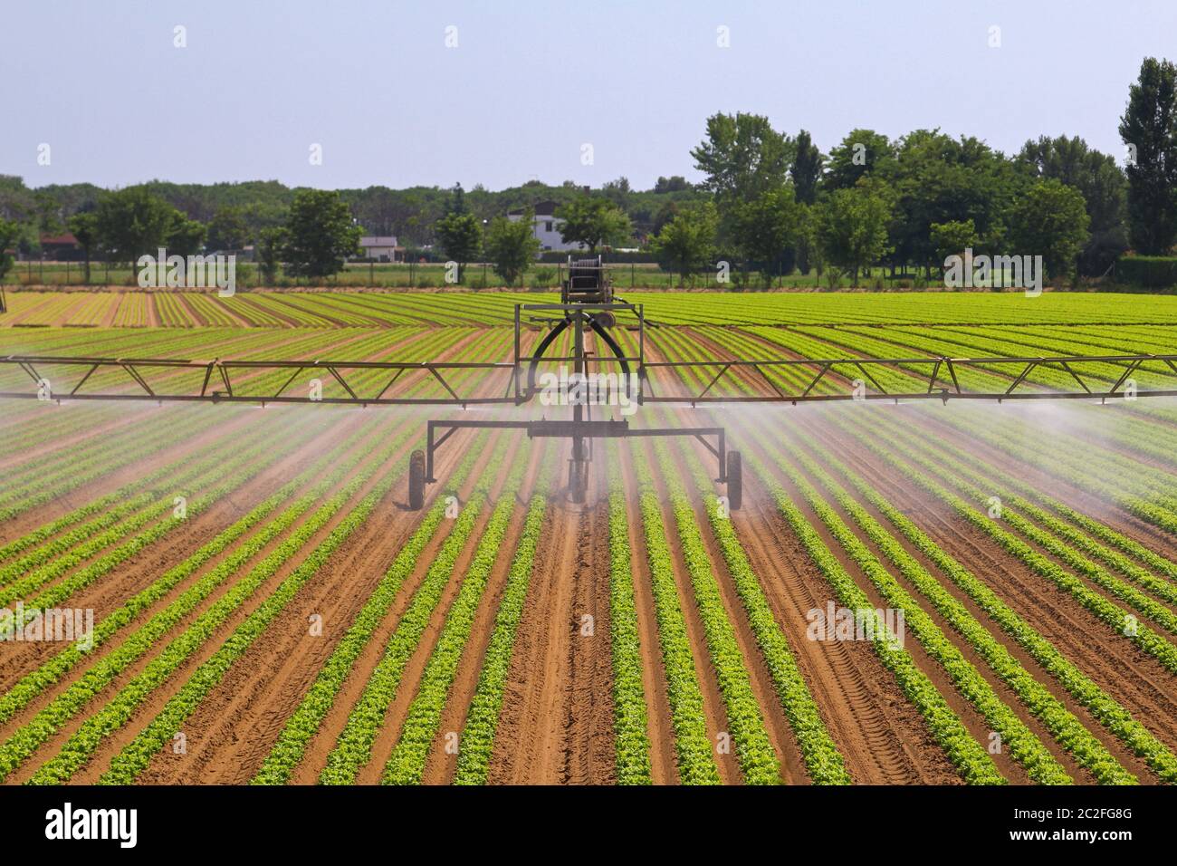 Green Agriculture Field With Water Irrigation System Stock Photo - Alamy