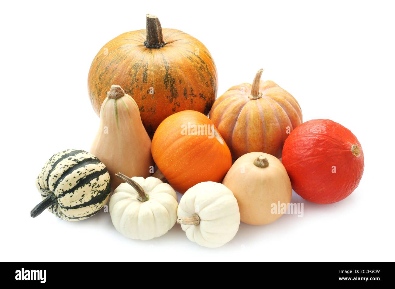 Varieties Of Pumpkin Isolated On White Stock Photo - Alamy