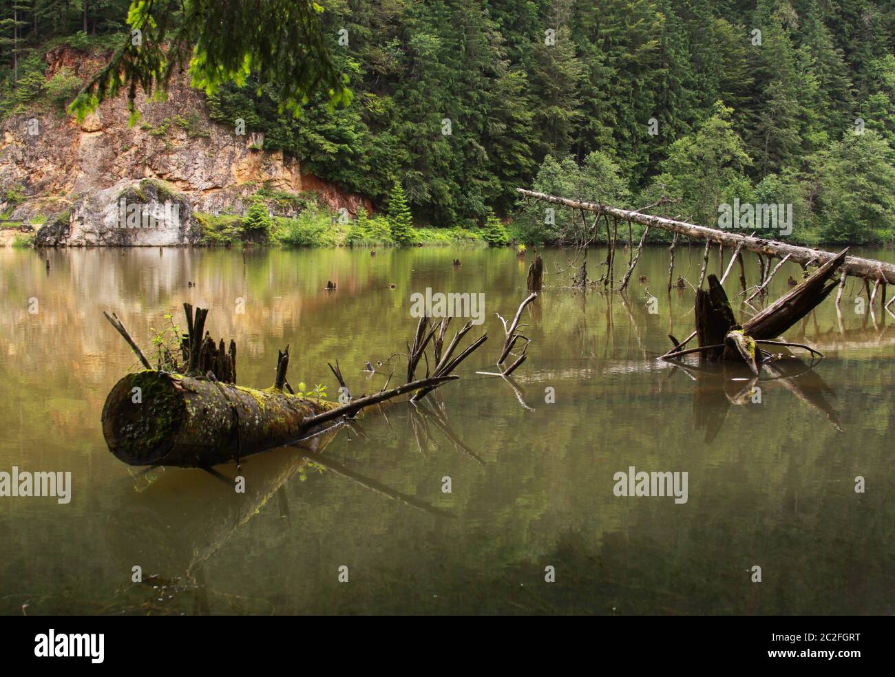 Lacu Rosu lake in Transylvania, Romania. Lacu Rosu is a popular travel ...