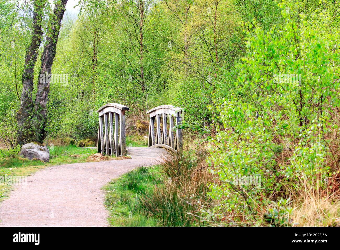 Woodland with bridge over river in a rural setting hi-res stock ...
