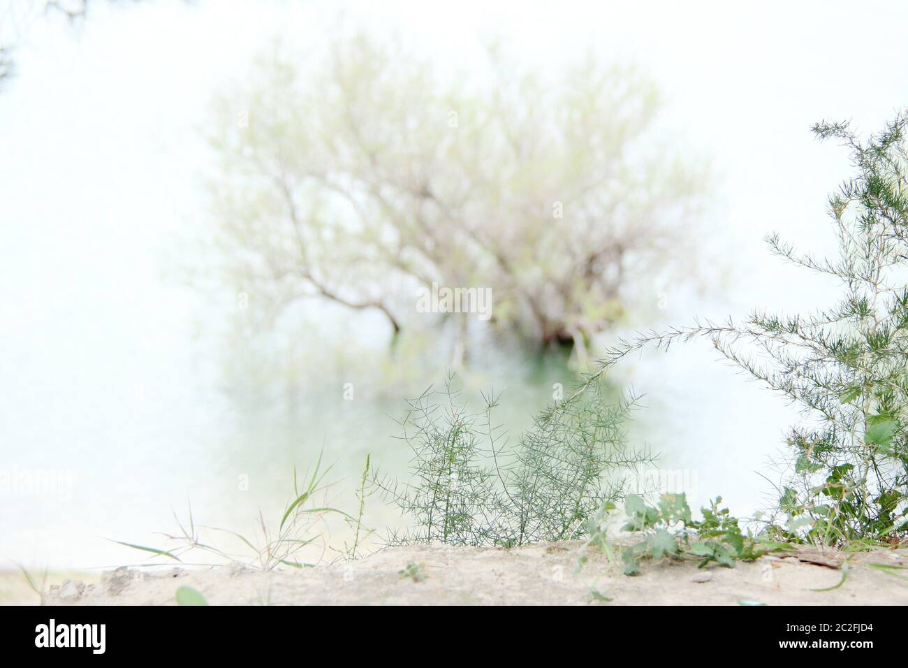 Silence space hi-res stock photography and images - Alamy
